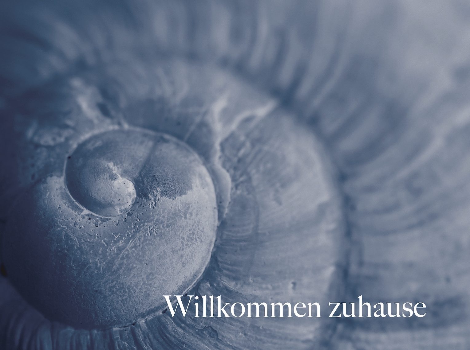 Wahrgenommen werden: Das neue Erscheinungsbild der VAL Group - VAL Group AG